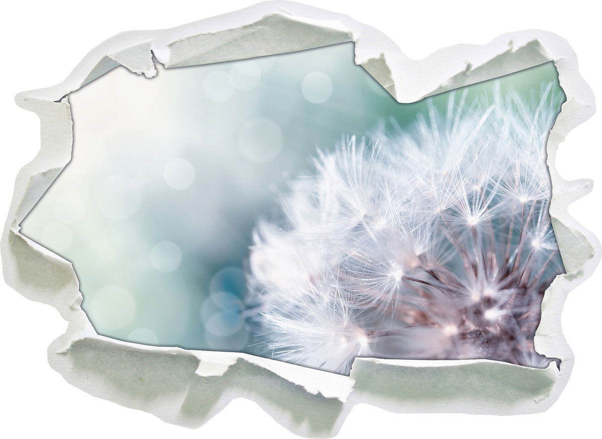 Wandtattoo Pusteblume 3d