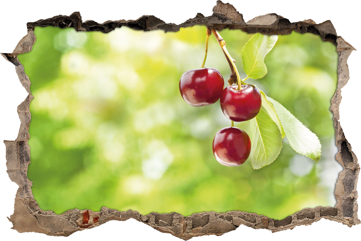 Kirsche, 3D Wandtattoo— Pixxprint.de