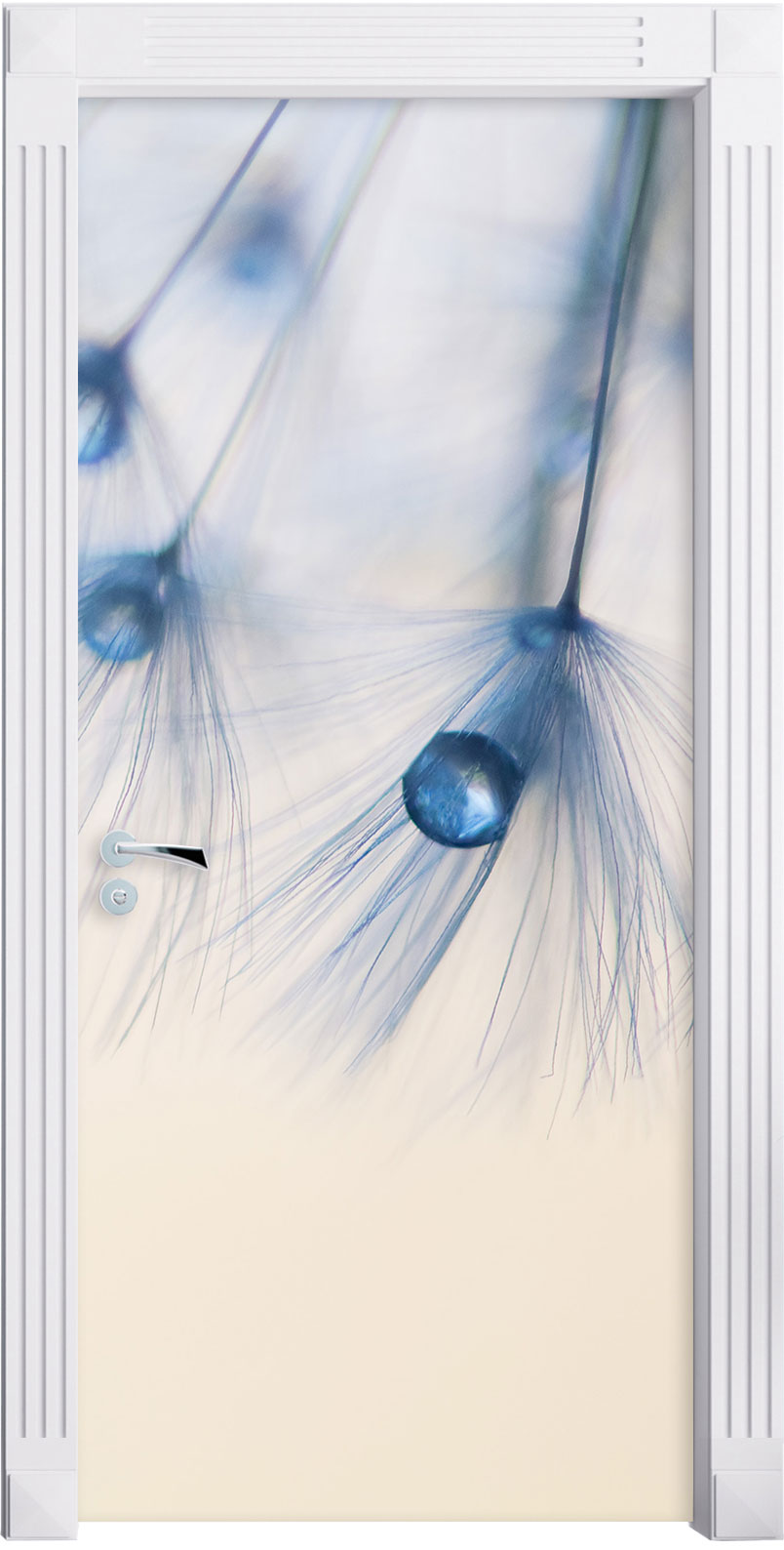 Pusteblume Nahaufnahme, Türaufkleber 200x90 cm— Pixxprint.de