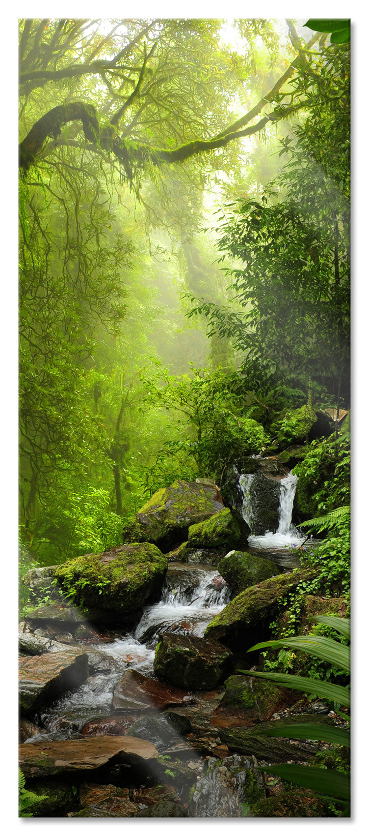 Kleinder Wasserfall im Dschungel, Glasbild Panorama— Pixxprint.de